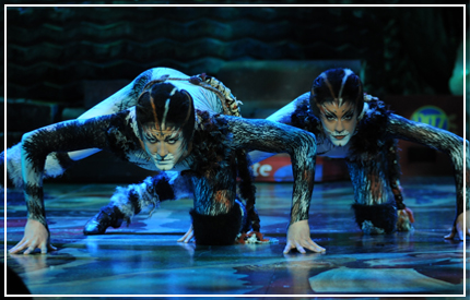 Theatre Reviews : Cats. Grand Opera House. Belfast